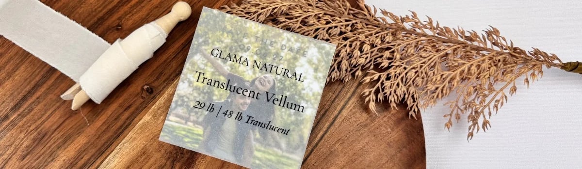 Translucent Vellum vs. Parchment Paper: What’s the Difference? - LCI Paper